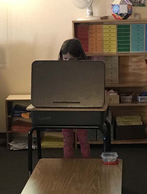 A3's Plant Election - Montessori School of Flagstaff